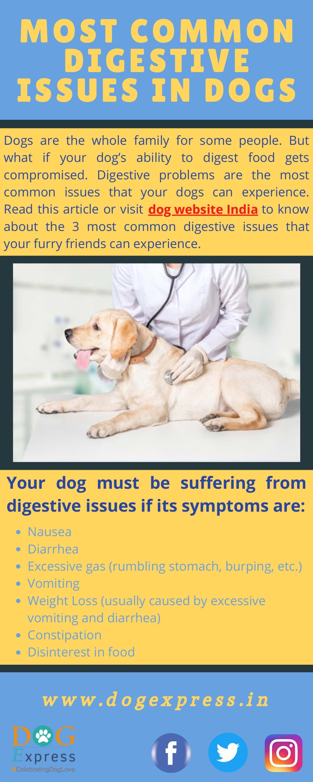 Most Common Digestive Issues In Dogs most-common-digestive-issues-in-dogs