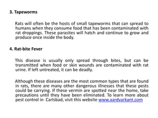 Most Common Diseases Transmitted by Rats | PPTX