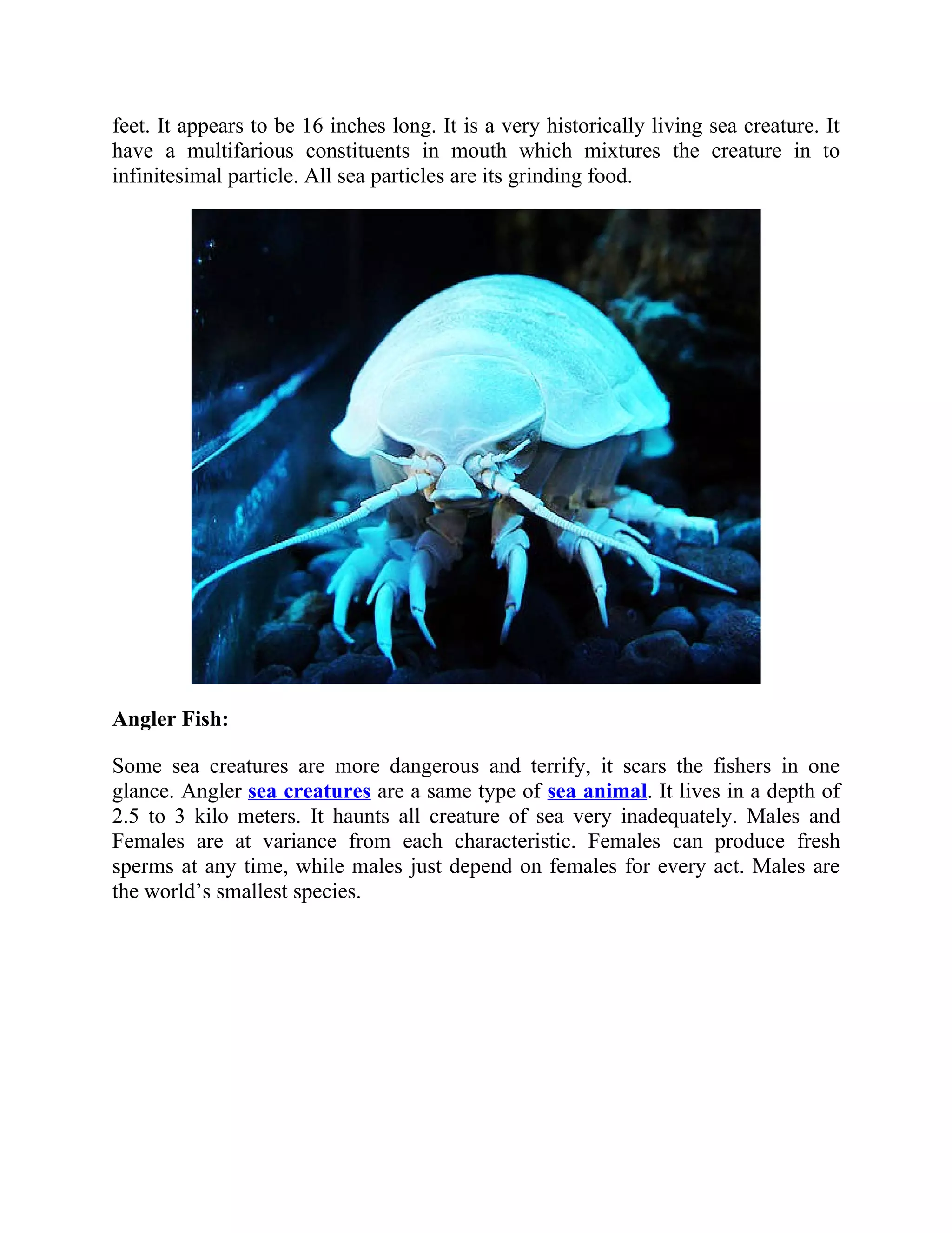 Most dangerous deep sea creatures | DOC