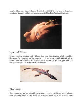 Most dangerous deep sea creatures | DOC