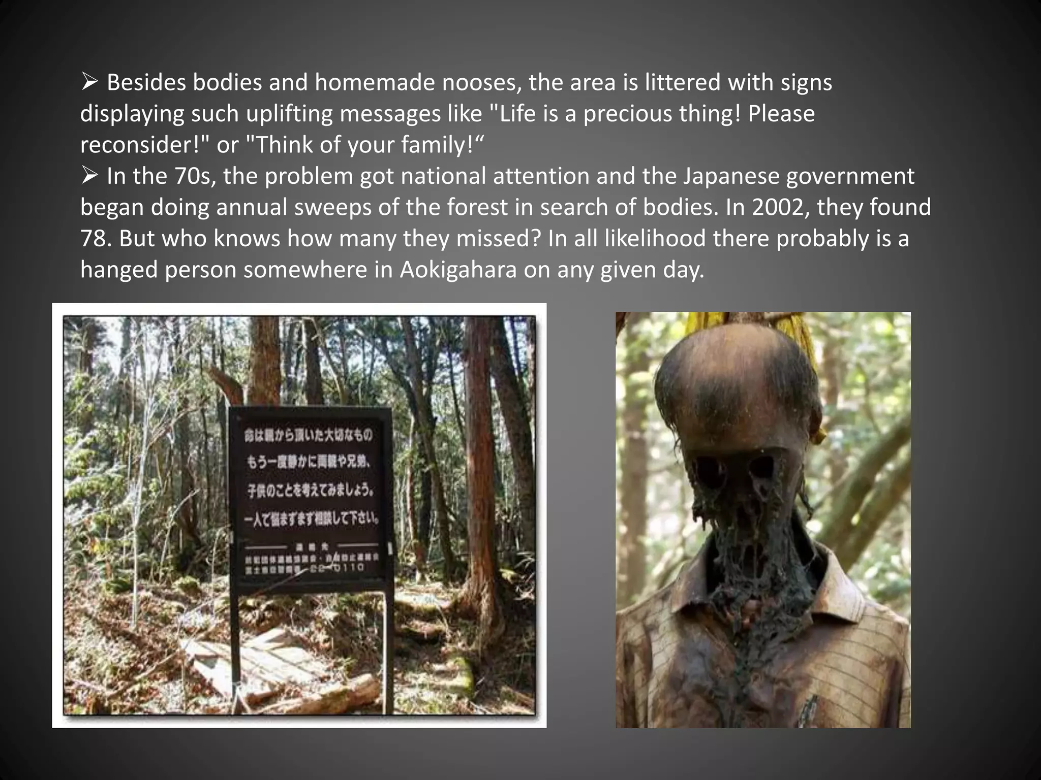 Most h aunted and creepy places around the gloab | PPT