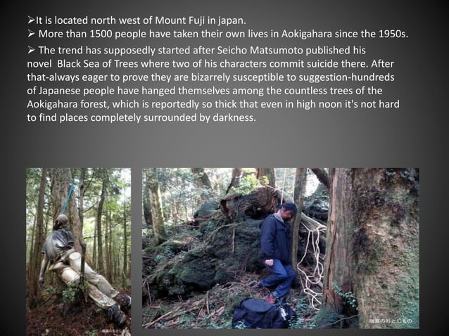 Most h aunted and creepy places around the gloab | PPT