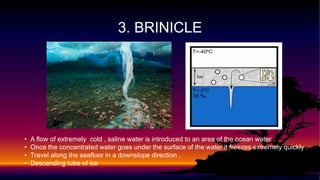 Most mysterious ocean facts | PDF