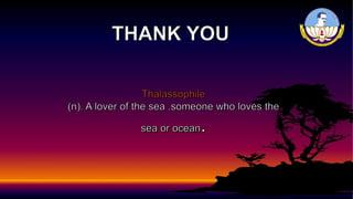 Most mysterious ocean facts | PDF