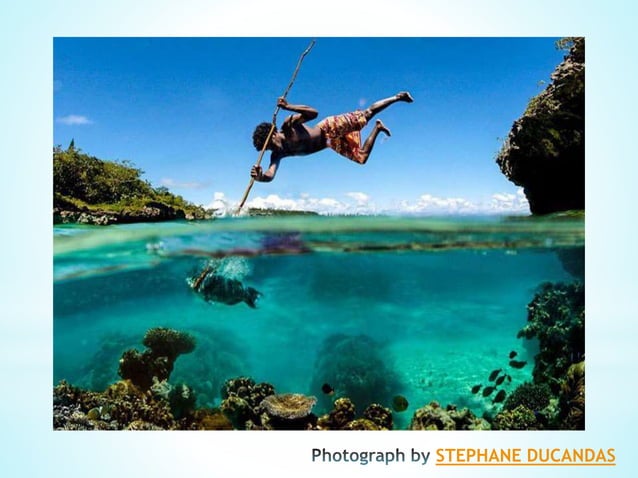 23 Most perfectly timed photos | PPTX