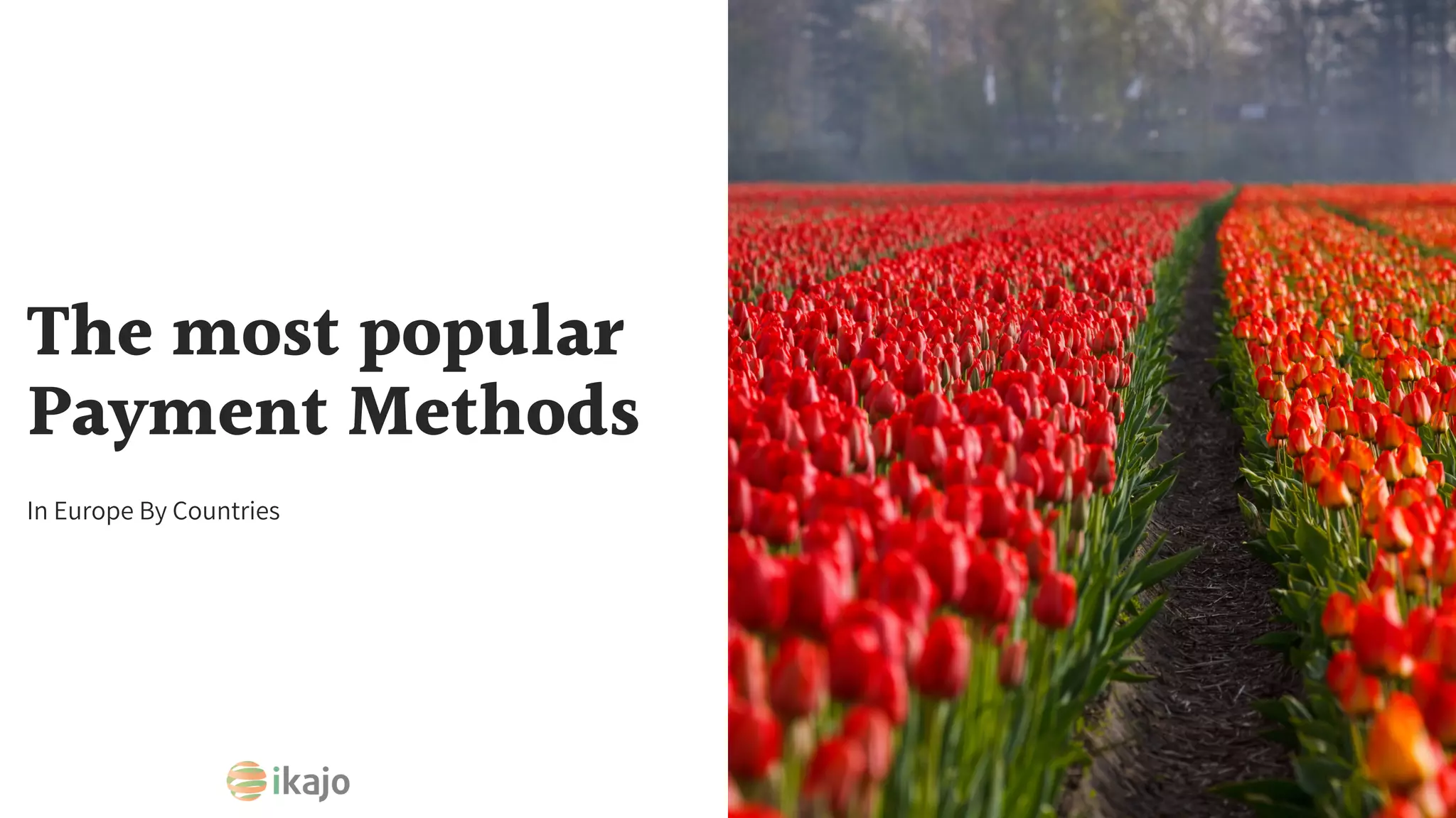 The most popular payment methods in Europe | PPT