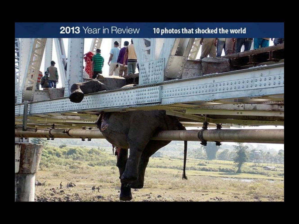 Most shocking images of 2013