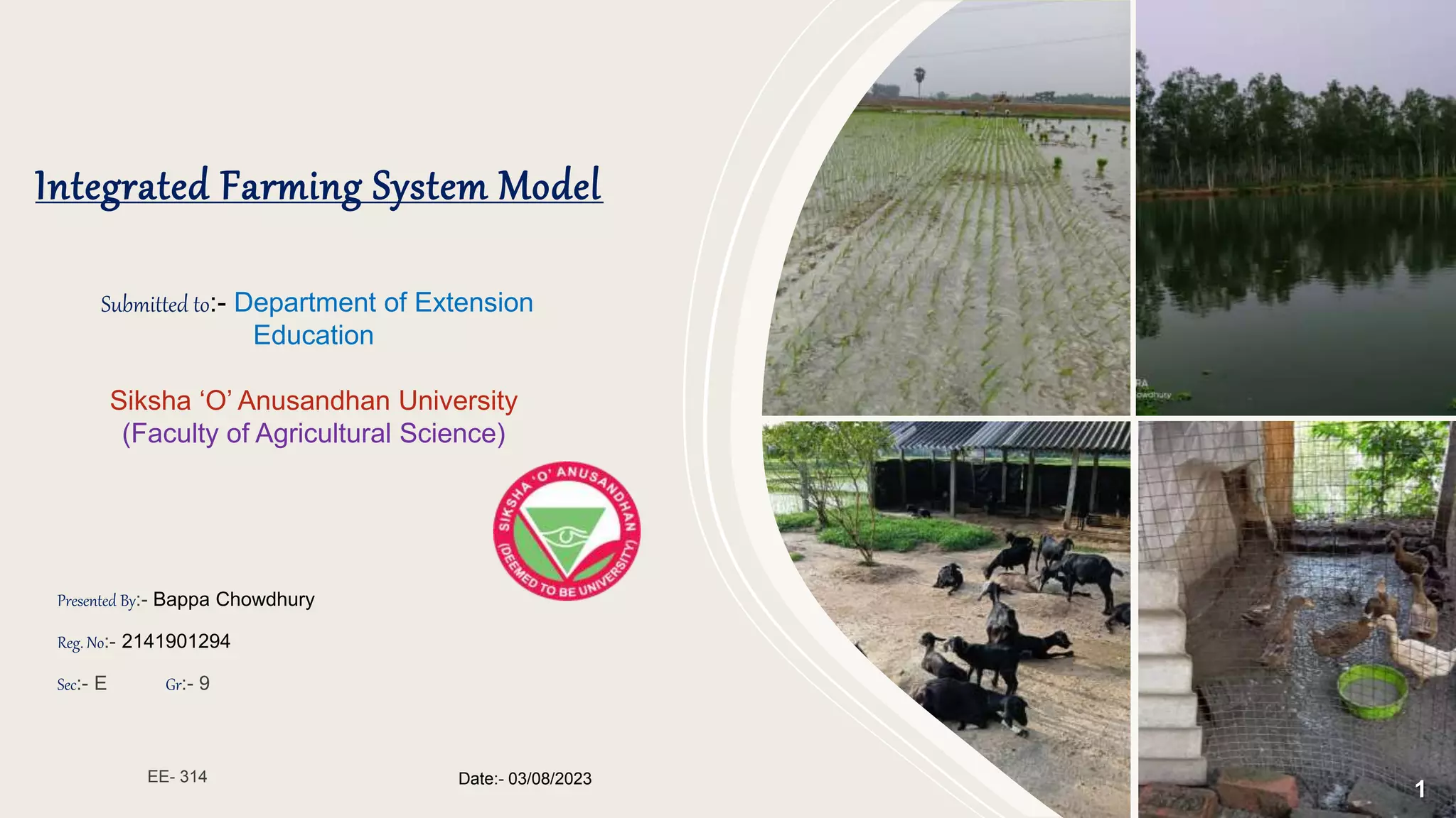 Most simple IFS Model.pptx