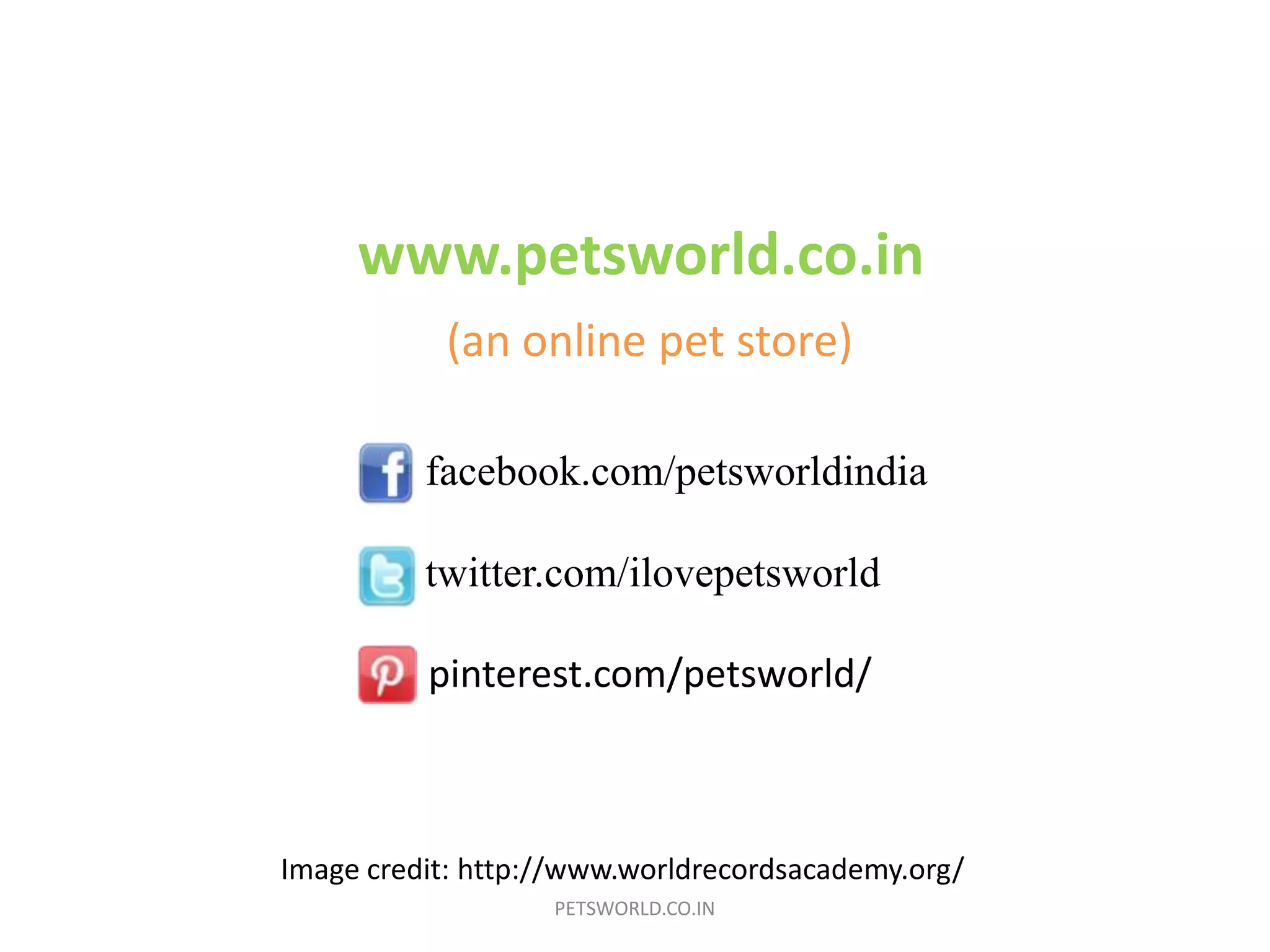 Most unique dogs with guinness world record | PPTX