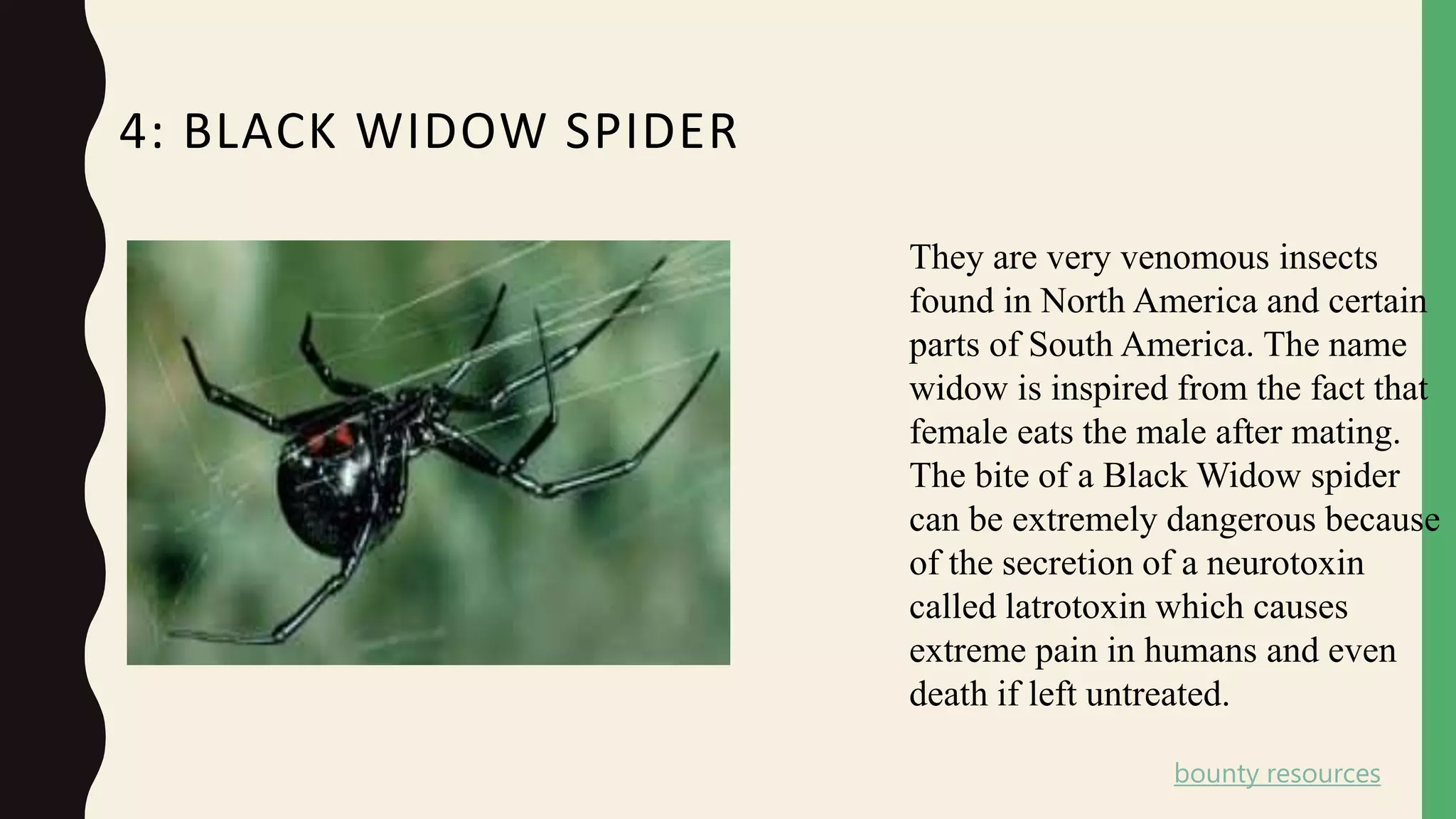 Most Venomous Insects in the World by Li Haidong Singapore | PPTX