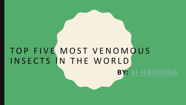 Most Venomous Insects in the World by Li Haidong Singapore | PPT