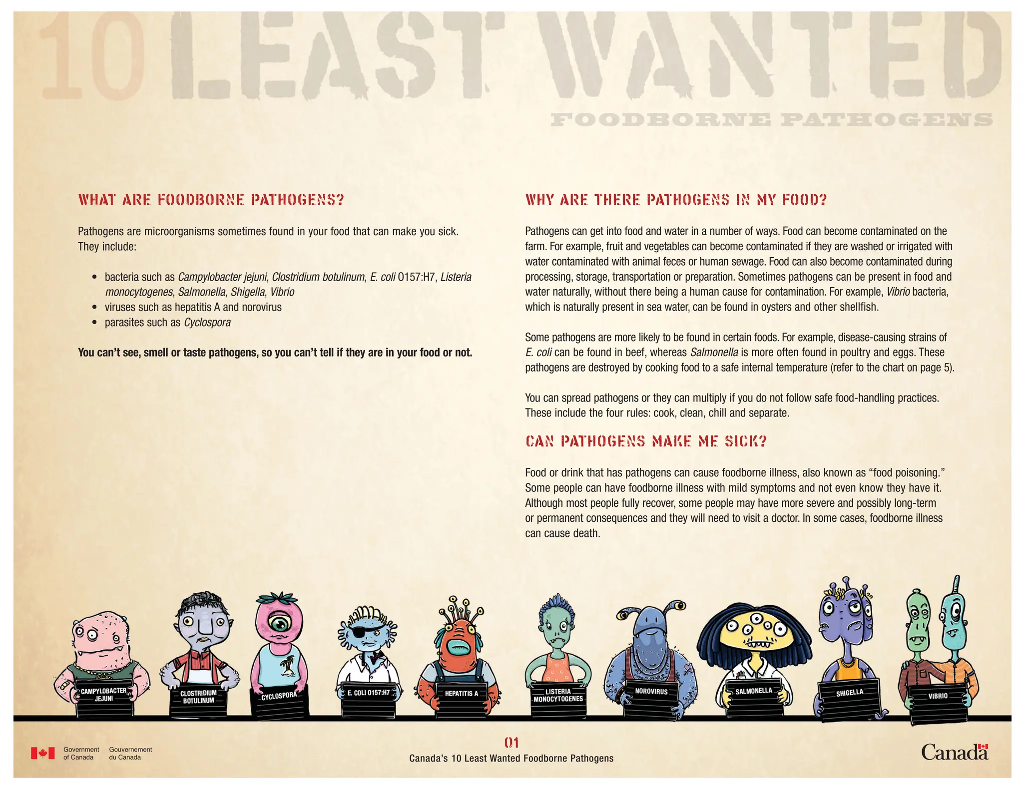 Most Wanted Pathogens a brief study into bad bugs | PDF | Infectious ...