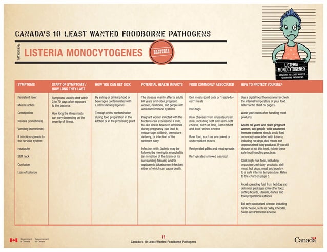 Most Wanted Pathogens a brief study into bad bugs | PDF | Infectious ...