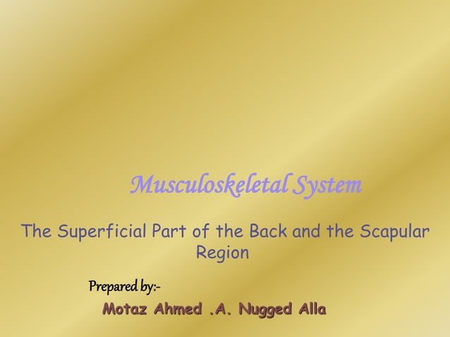 motaz seminar 3.pptx