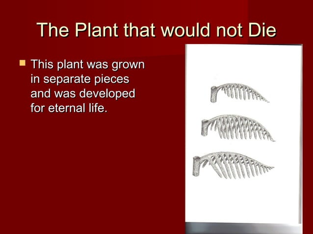 Motel of the mysteries[1] | PPT