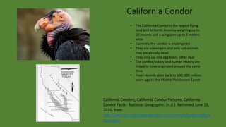 Monterey formation | PPTX