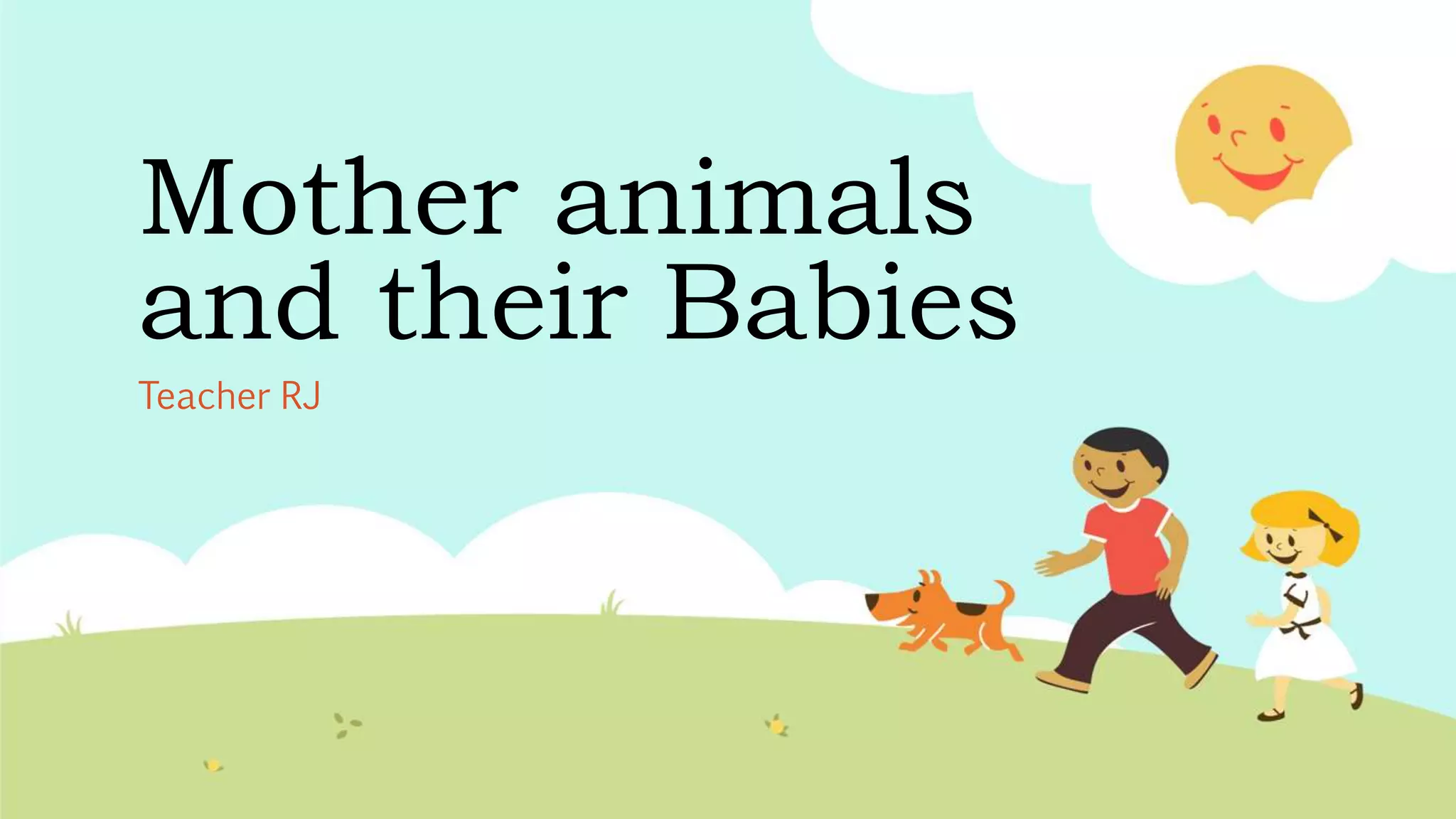 Animals and their youngs | PPT