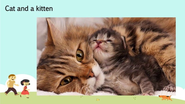 Animals and their youngs | PPT