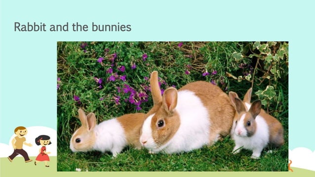 Animals and their youngs | PPT