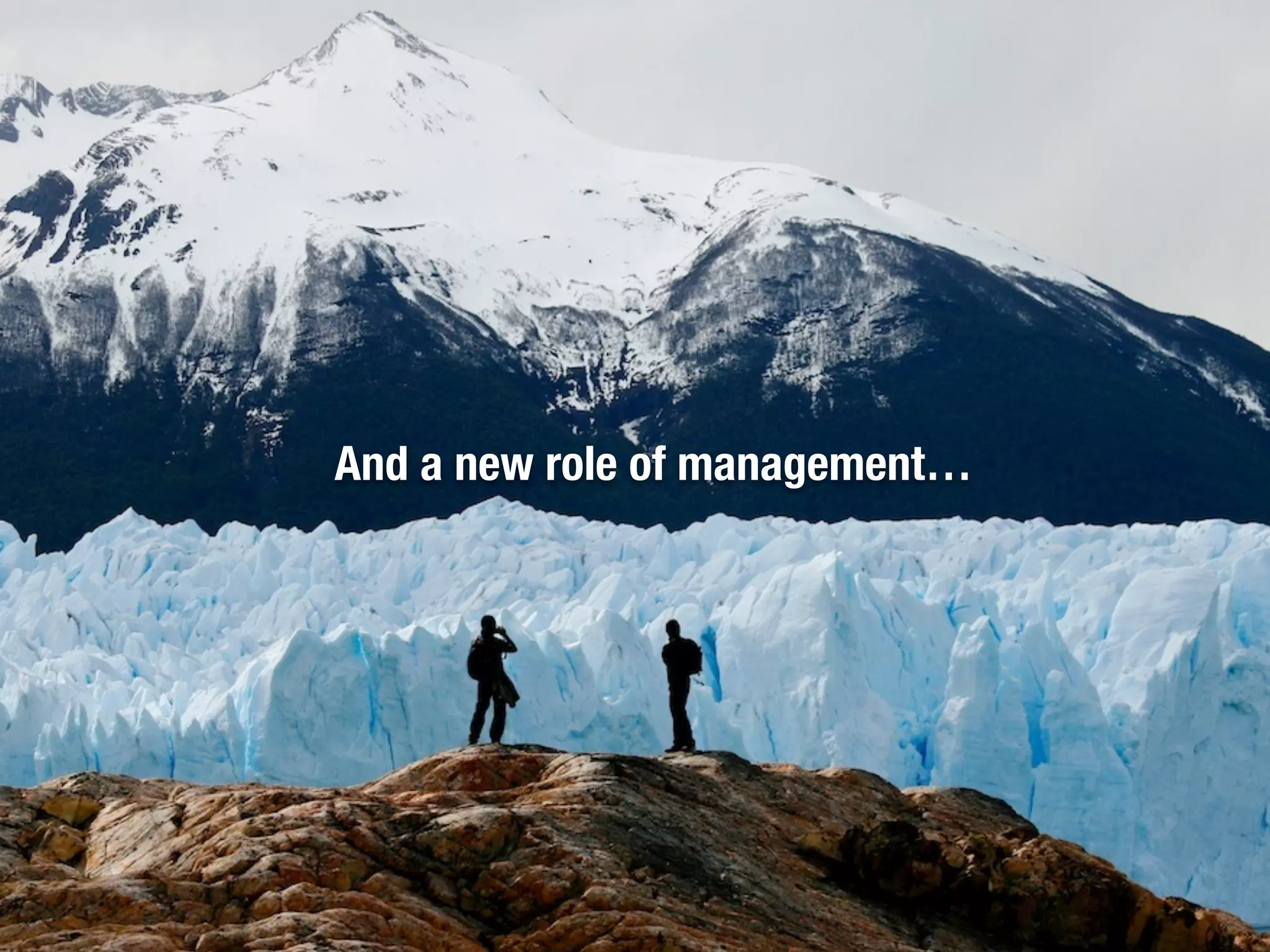 An Executive's Guide to Employee Engagement | PDF