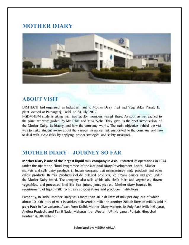 Report on Mother diary | PDF