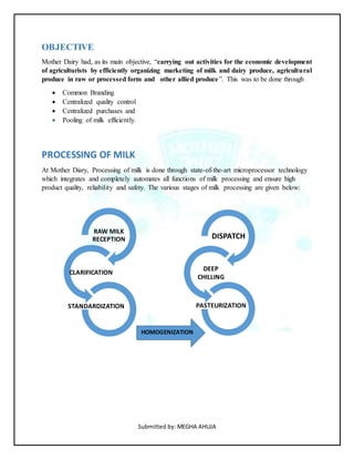 Report on Mother diary | PDF