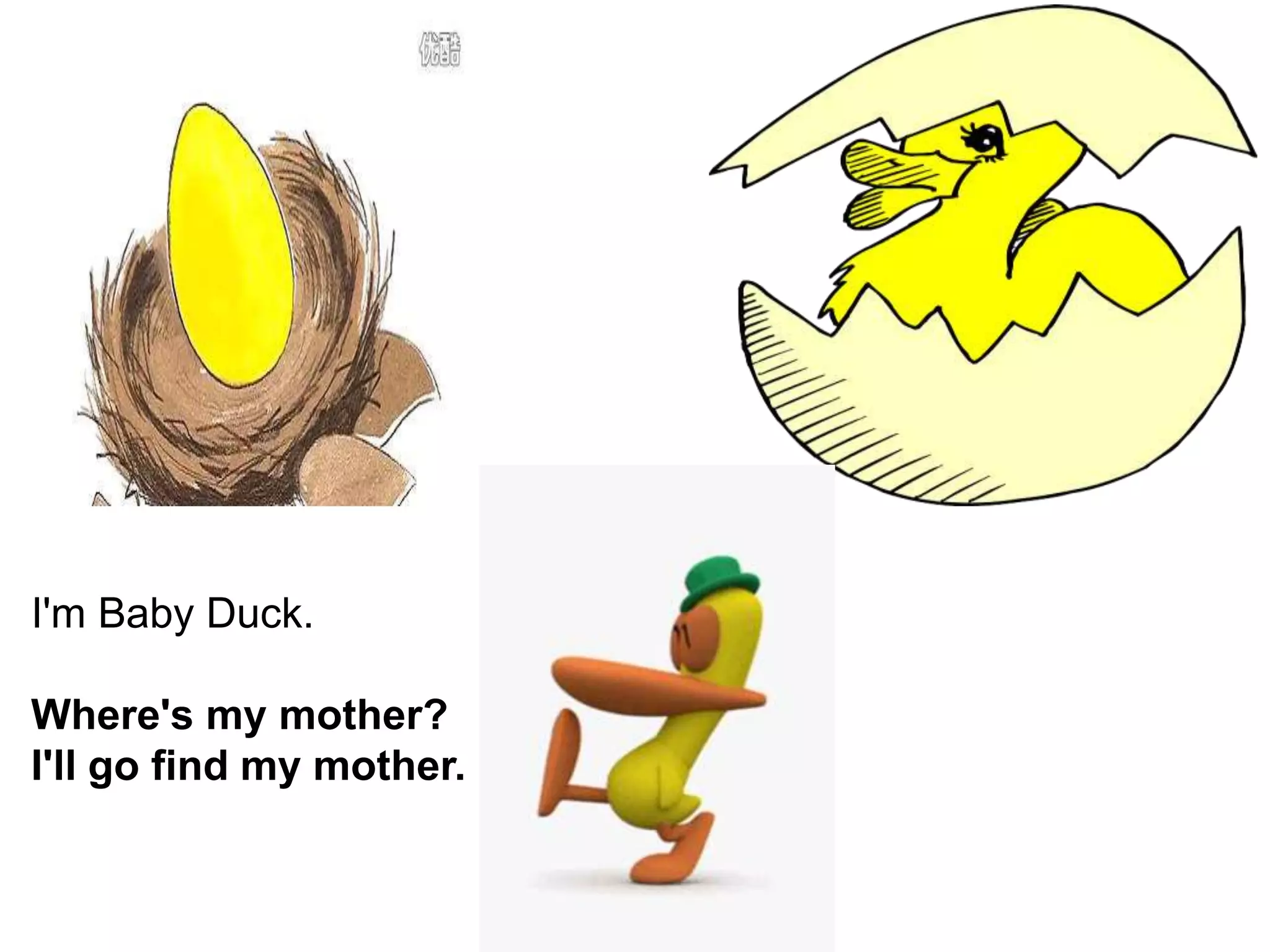 mother duck .ppt