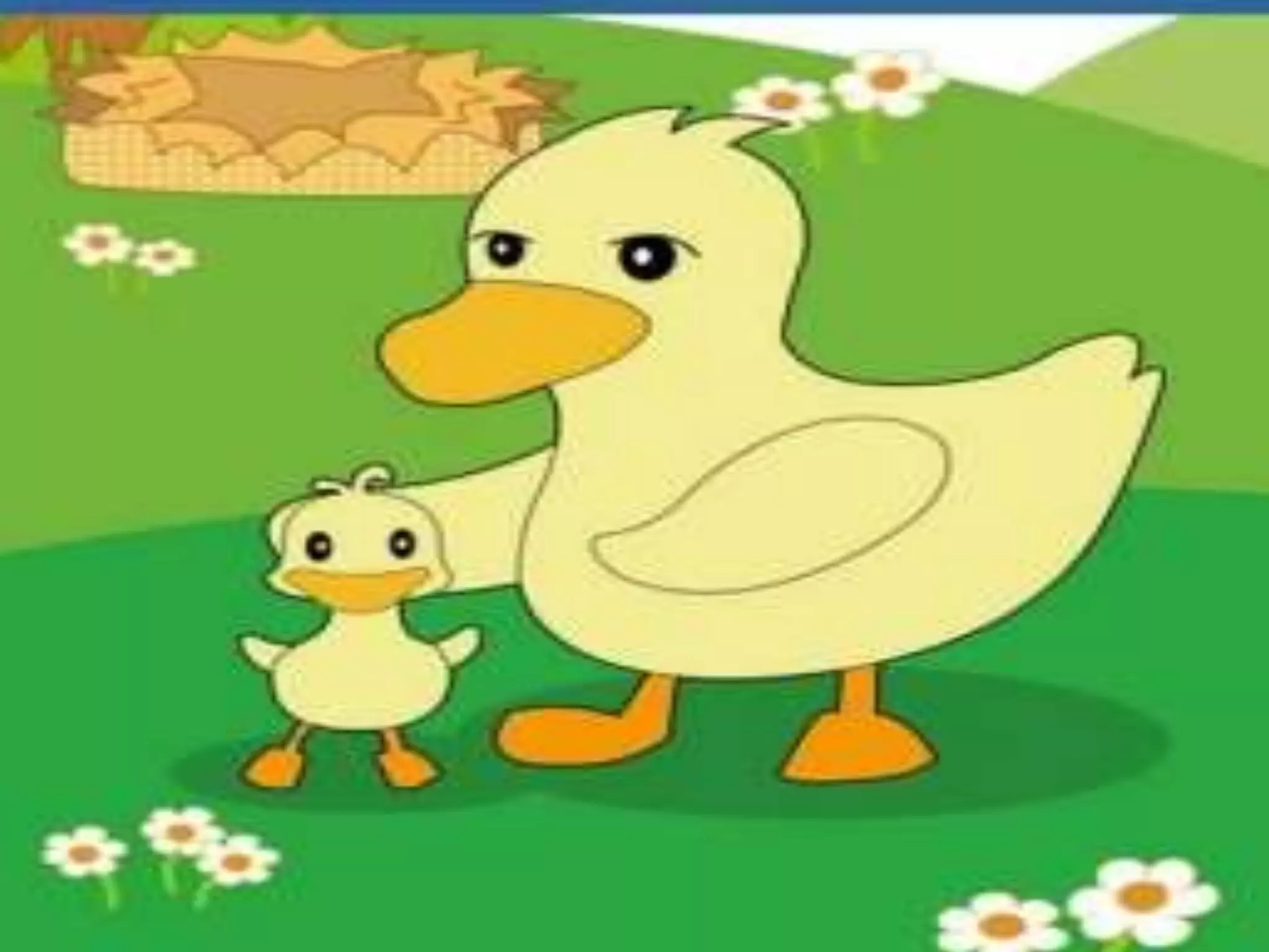 mother duck .ppt