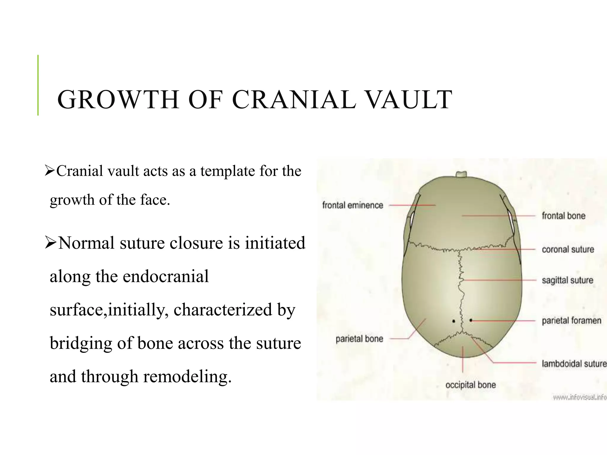 Craniofacial growth during adolescence | PPTX