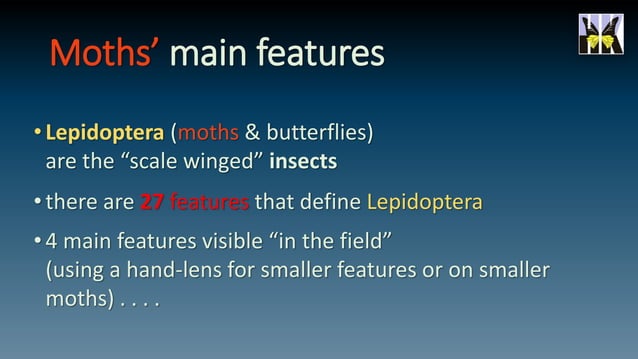 Moth Magic HKLS 20230422 (compressed pictures).pptx