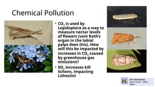Moths Matter (and so does the Rest of Life on Earth) | PPTX