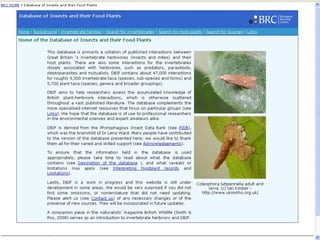 Moth recording resources on the web | PPT