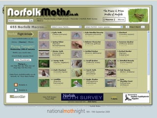 Moth recording resources on the web | PPT