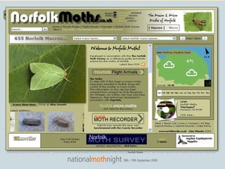 Moth recording resources on the web | PPT