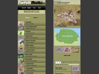 Moth recording resources on the web | PPT