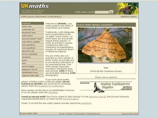 Moth recording resources on the web | PPT