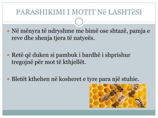 Moti(PROJEKT) Agreta Pnishi | PPT