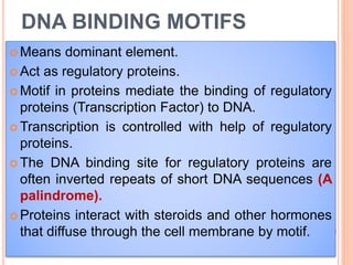 Motif | PPTX | Chemistry | Science