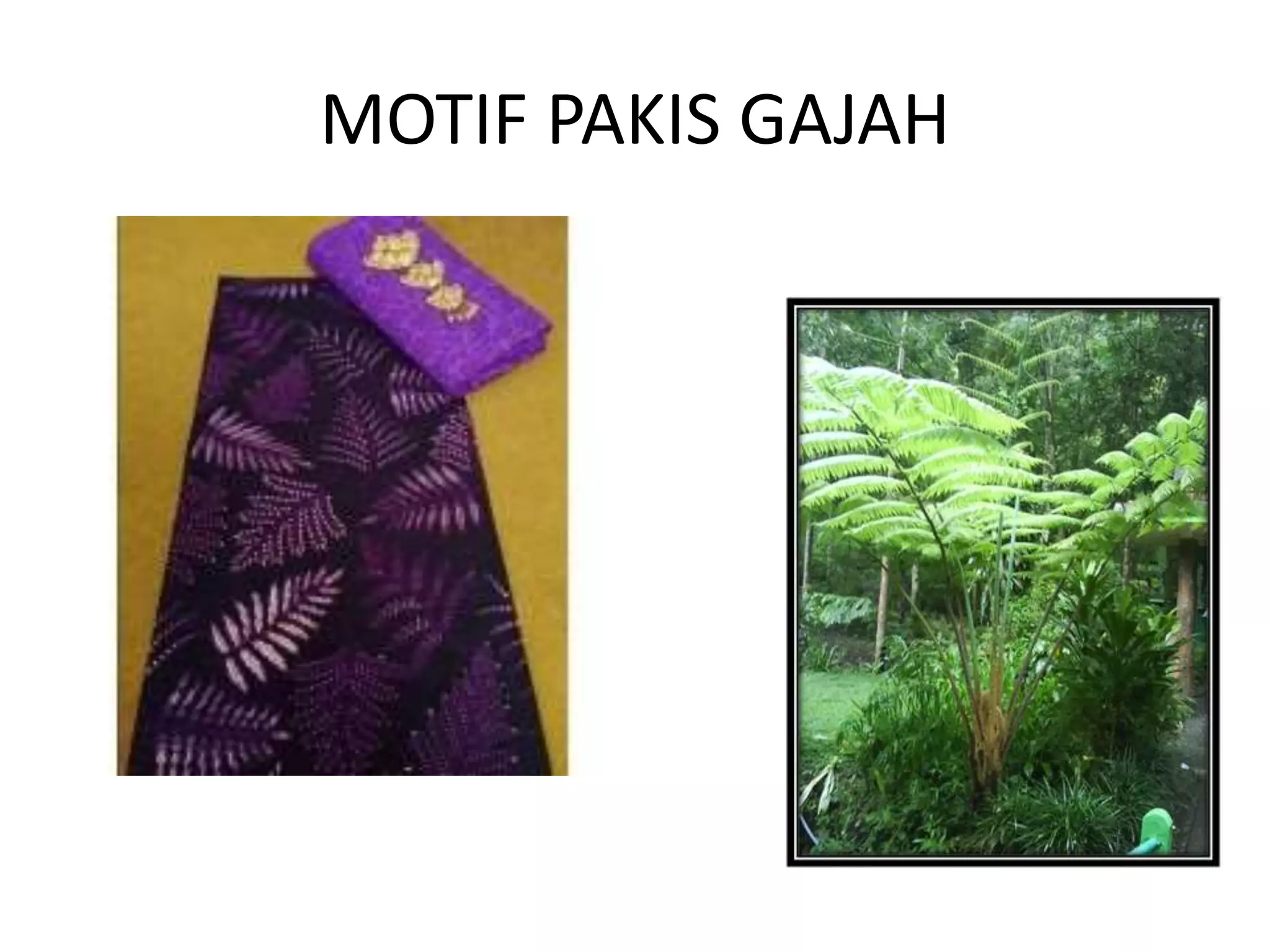 Motif Batik Daun Pakis | PPTX