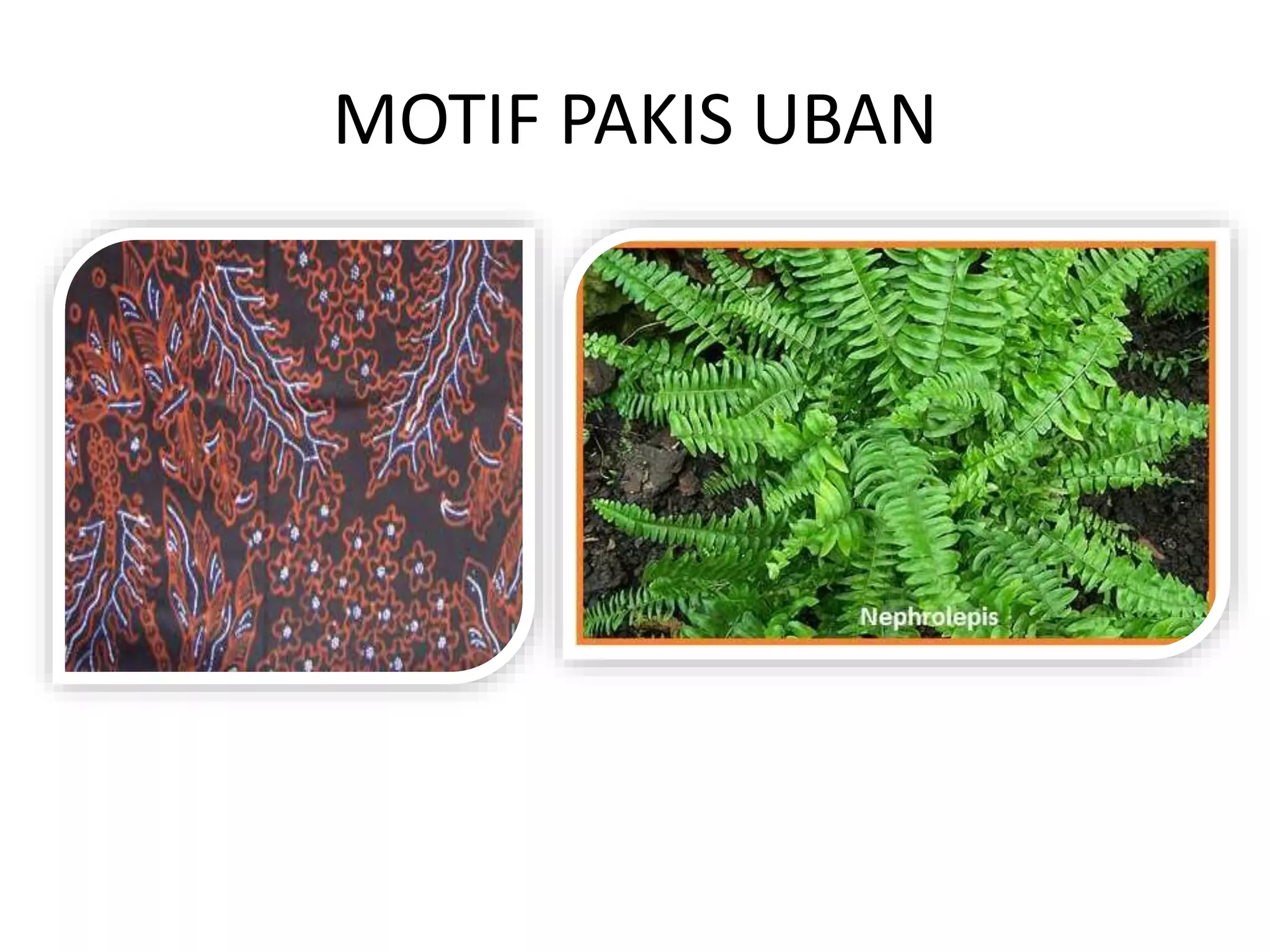 Motif Batik Daun Pakis | PPTX