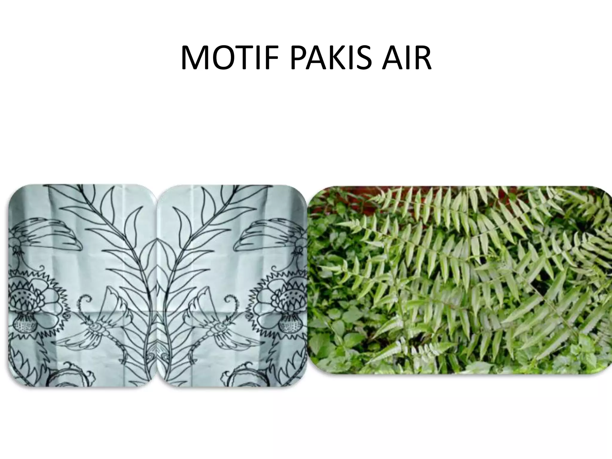 Motif Batik Daun Pakis | PPTX