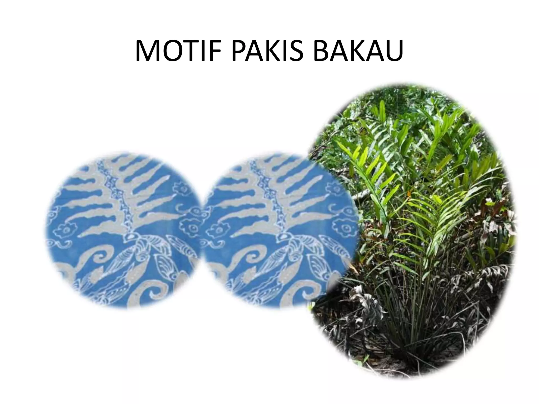 Motif Batik Daun Pakis | PPTX