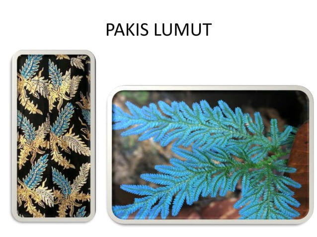 Motif Batik Daun Pakis | PPTX