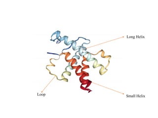 Motifs and domains | PPTX