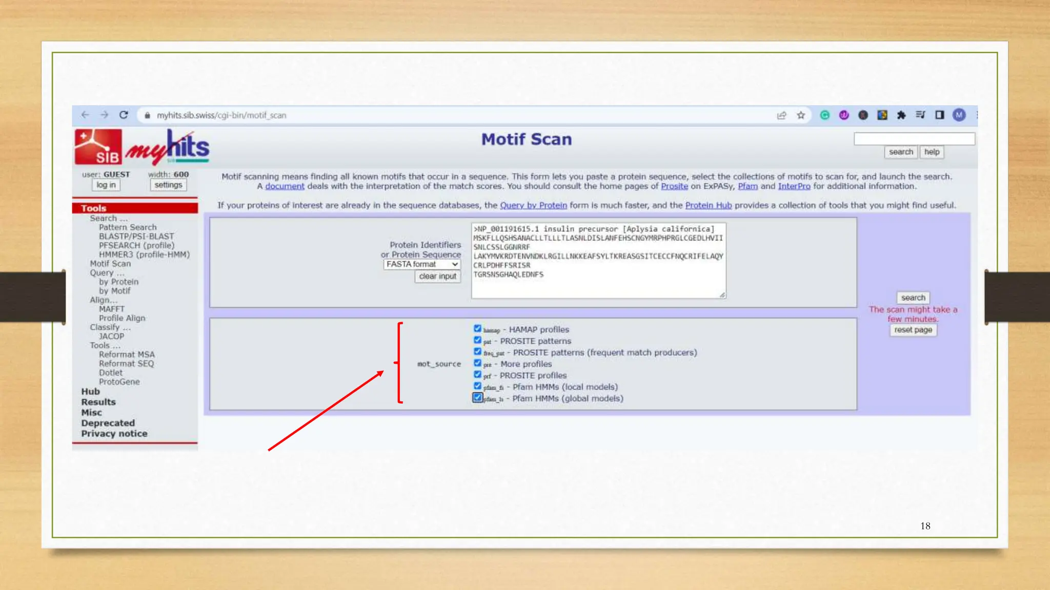 Motifs and Domains in Proteins_exp_.pptx