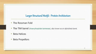 Motifs and Domains in Proteins_exp_.pptx