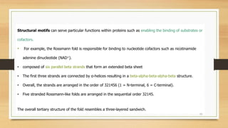 Motifs and Domains in Proteins_exp_.pptx