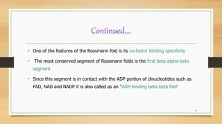 Motifs and Domains in Proteins_exp_.pptx