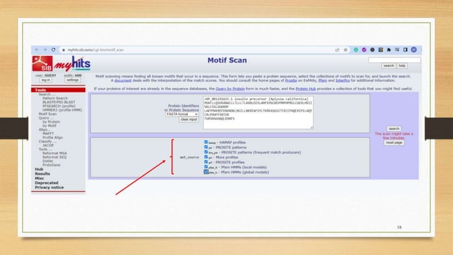 Motifs and Domains in Proteins_exp_.pptx