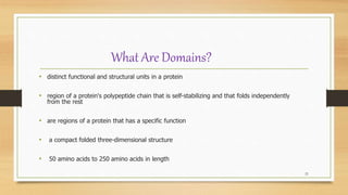 Motifs and Domains in Proteins_exp_.pptx